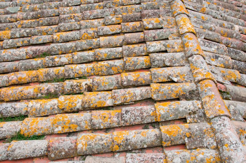 Comment nettoyer sa toiture : enlever mousse et lichen