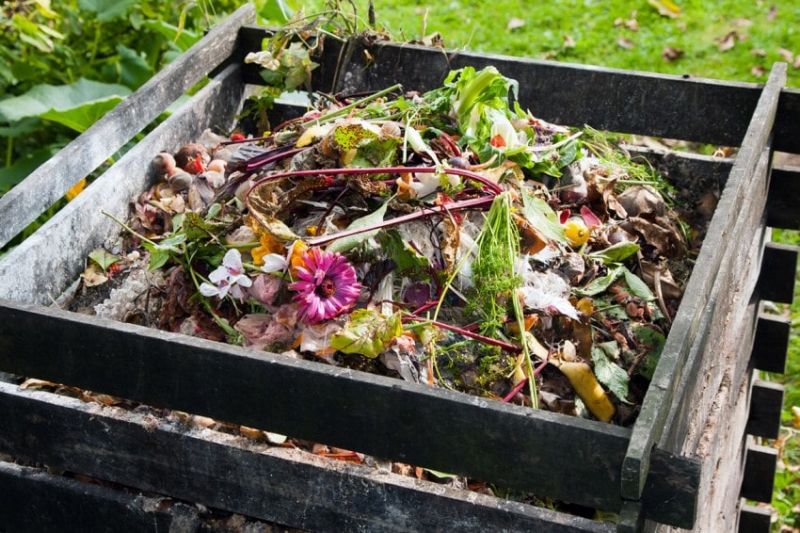 Réussir son compost : nos techniques de compostage