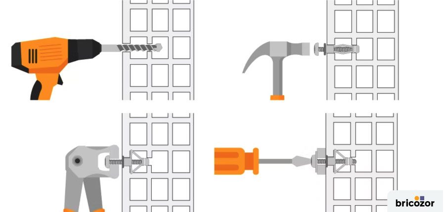 Tout ce qu'il faut Savoir sur la Cheville Molly : fonctionnement ...