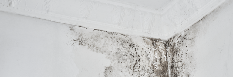 Comment fonctionne une VMC ? Tout ce qu'il faut savoir