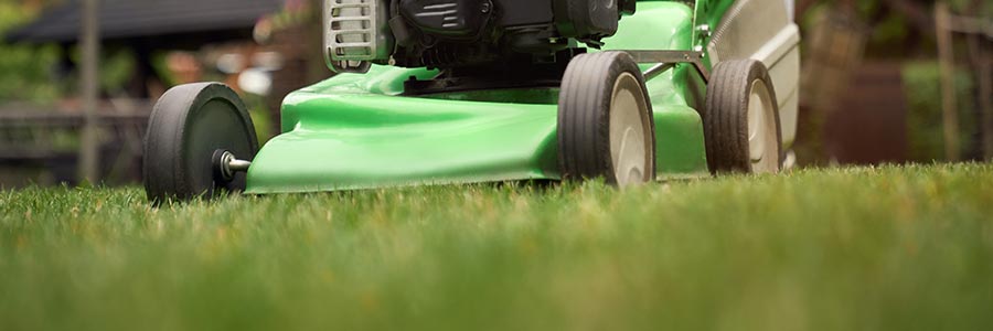 Tondeuse thermique ou électrique? Nous vous aidons à faire le bon choix